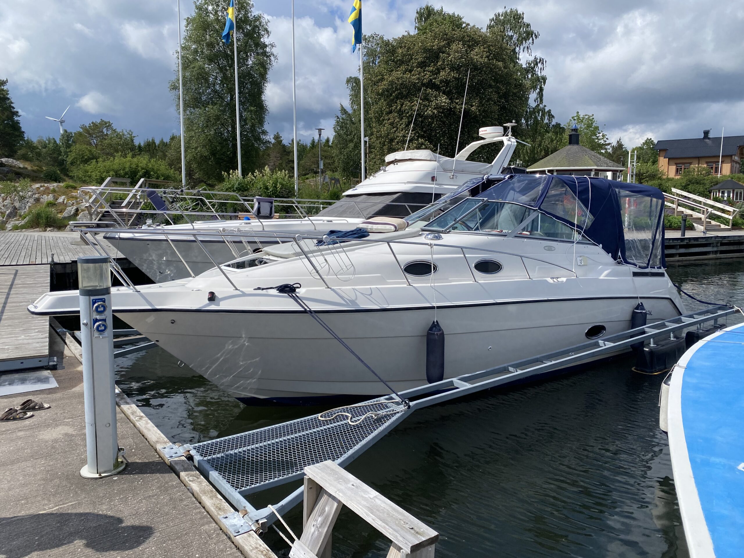 Regal 272 Commodore | Marine Concept