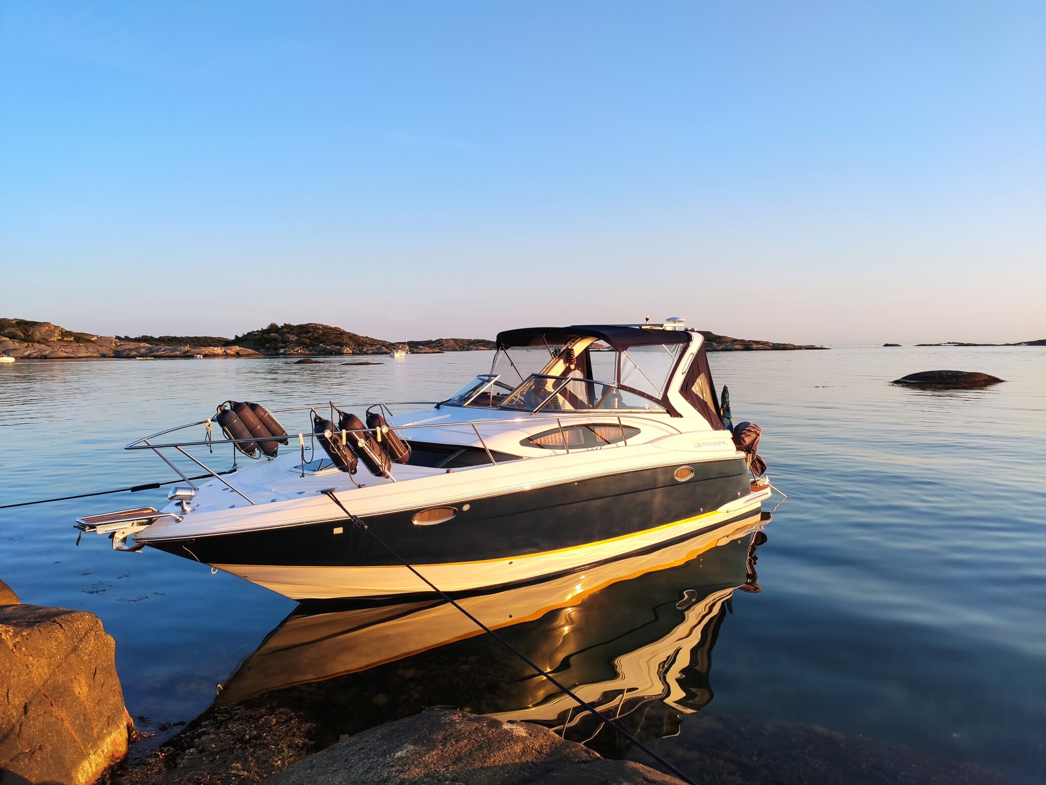 Regal 3060 Window Express | Marine Concept